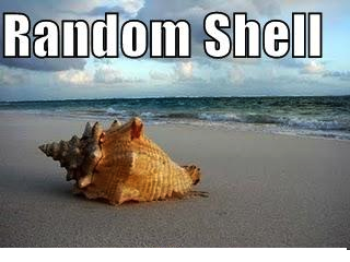 Random Shell: Butterscotch and Caramel Banana Pie