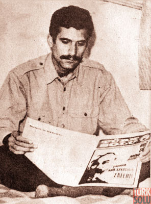 Seka connie |dottie seka|