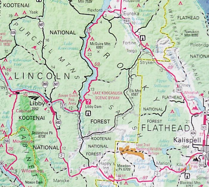 Tall Pines Hiker: Elk Mountain