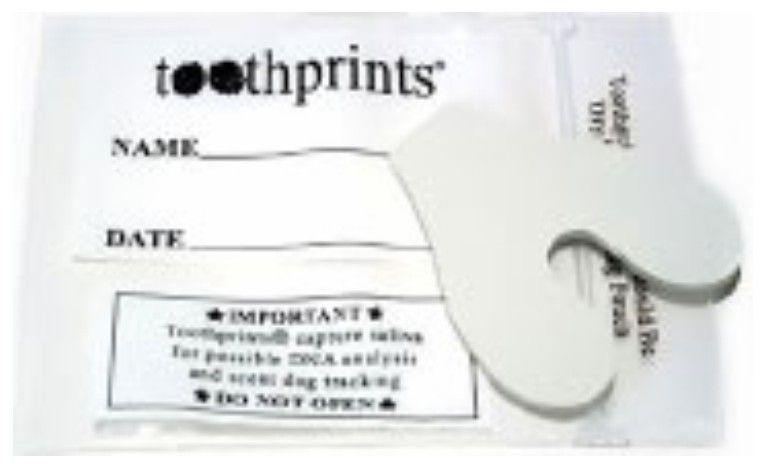 Prepared NOT Scared!: Vital Records - Family ID and Fingerprint Pages!