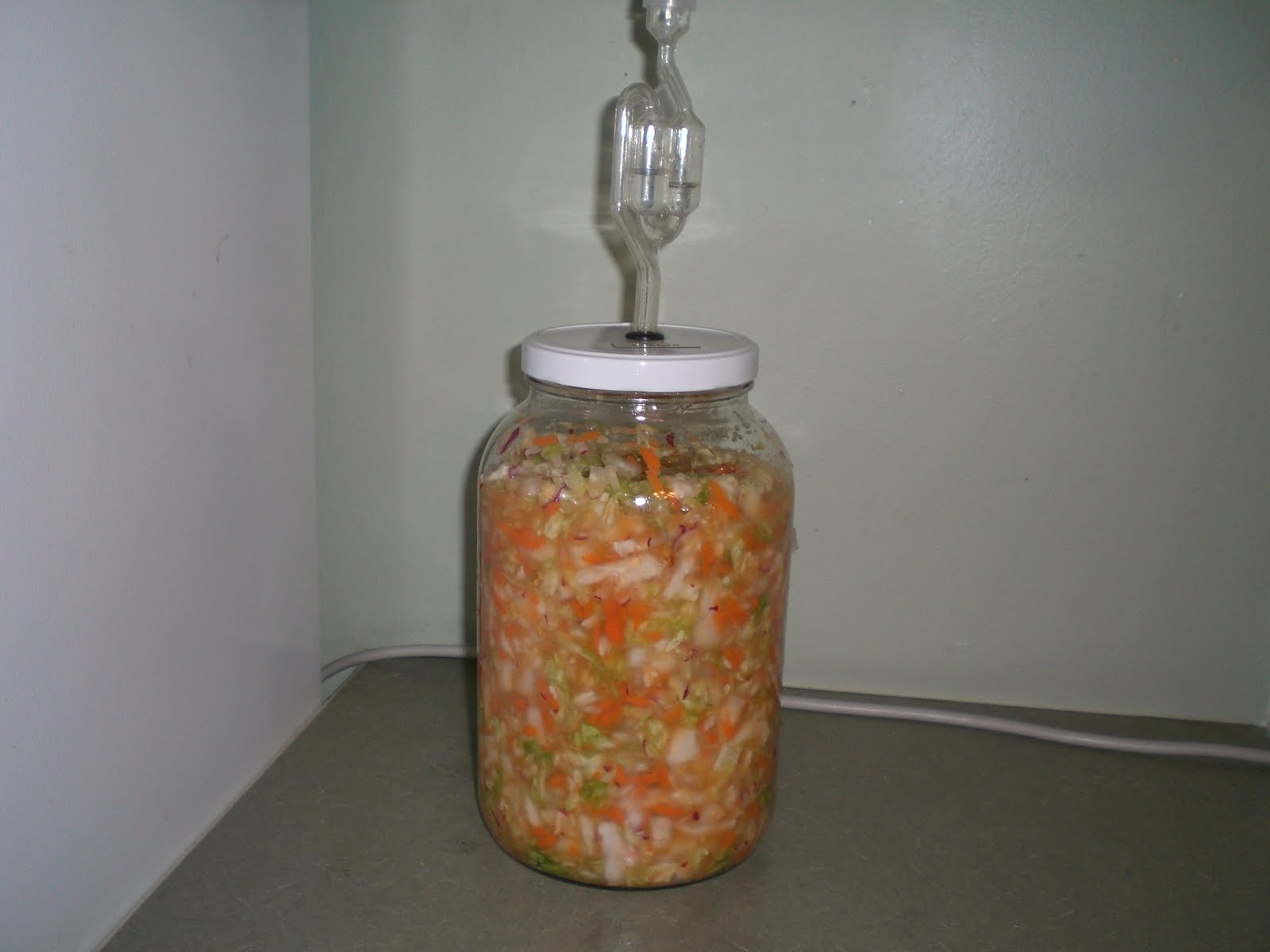 Real Food in Little Rock: A Gallon of Kimchi