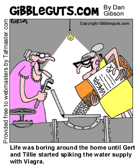 Laughingblog.com - Fun Humor Blog pictures Personal Writing Entertainment