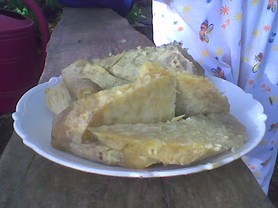 Organic Living In a Hill Farm: Pictures: Root Crop Known as Pao