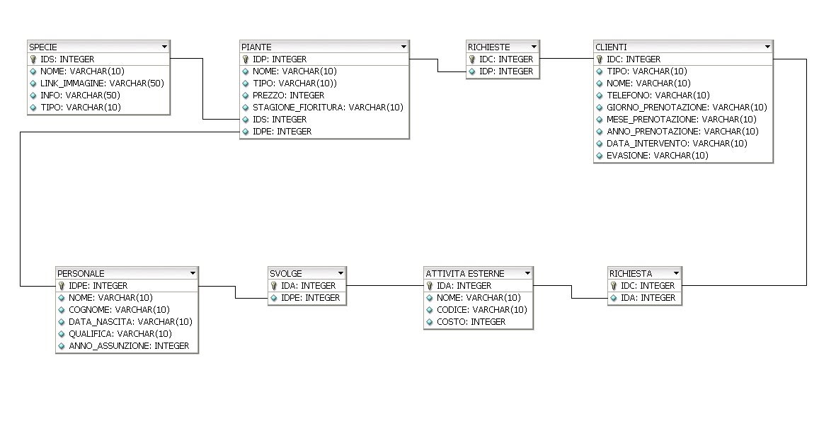 Jelly Bracelets Color Meanings 2009