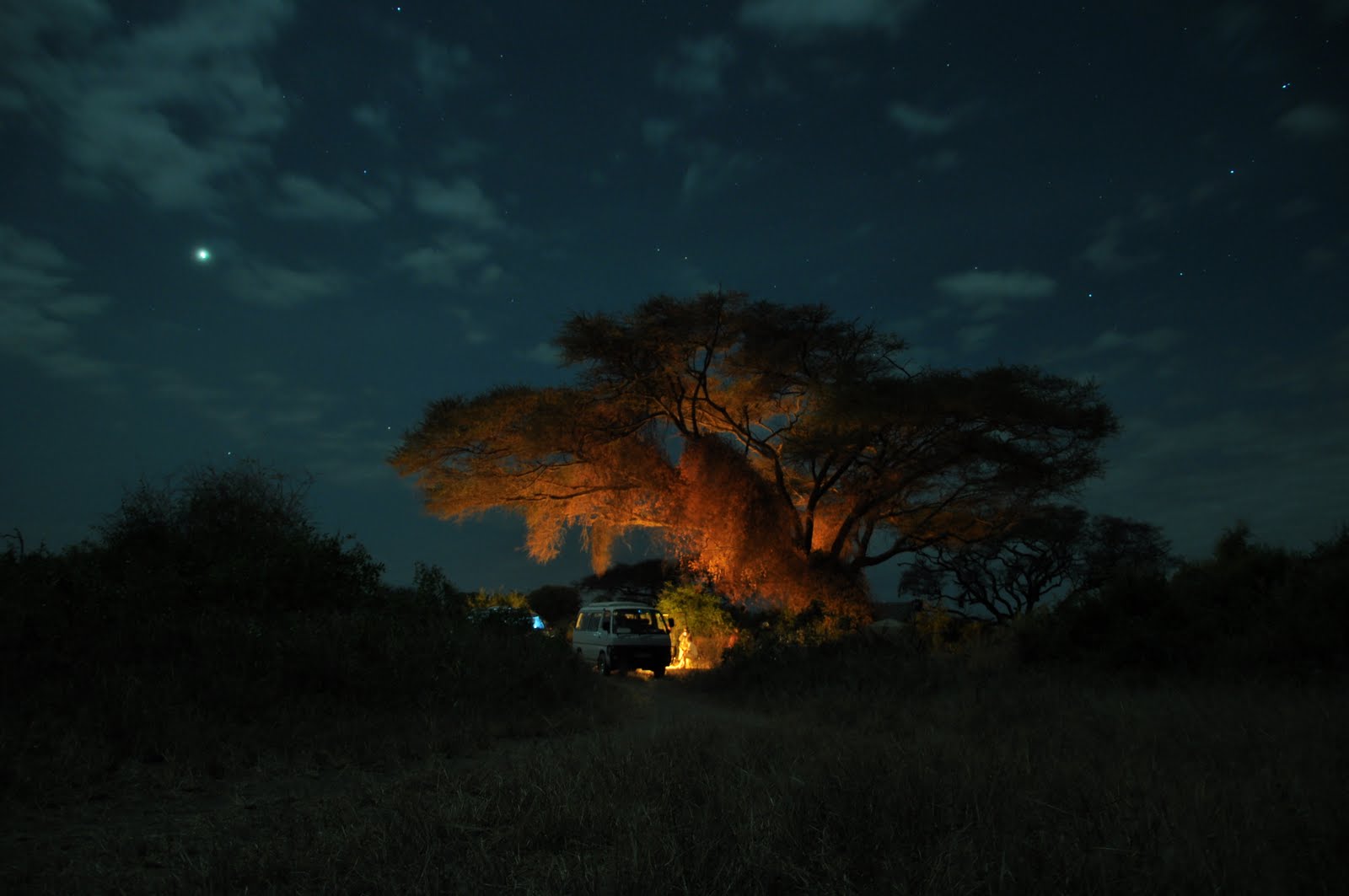 Yogurt Starter Probiotic Tablet