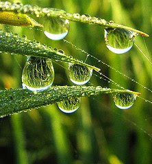 EMBUNKU IBARAT PERMATA DINIHARI: Sesuci Embun Pagi