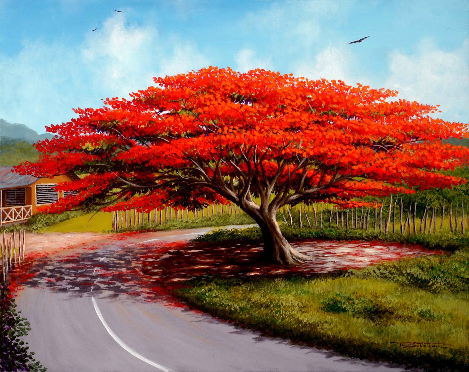 Gabriel Moquete: Flamboyán (Delonix Regia) Décimas