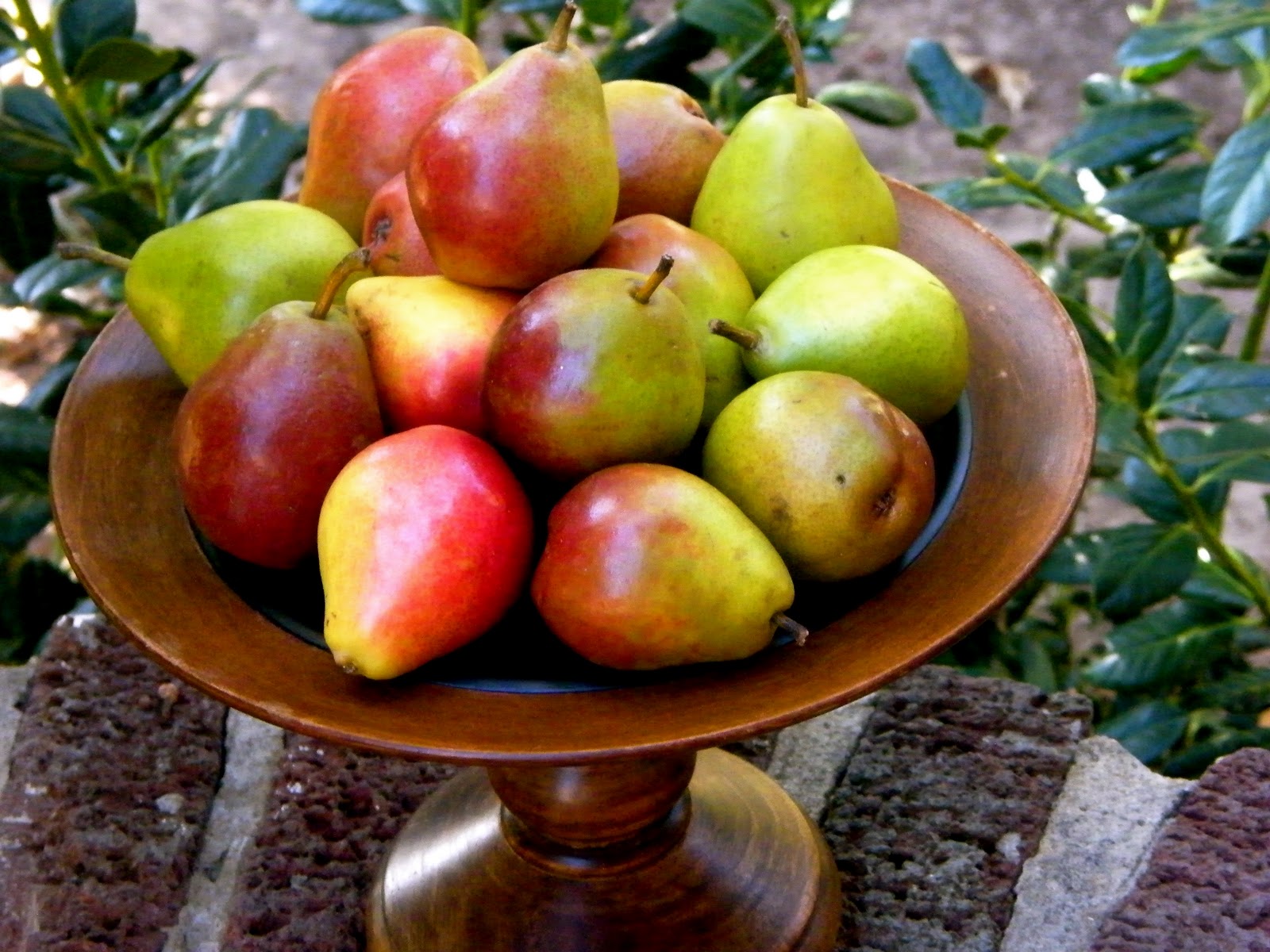 P O T A G E R: Seckel Pears