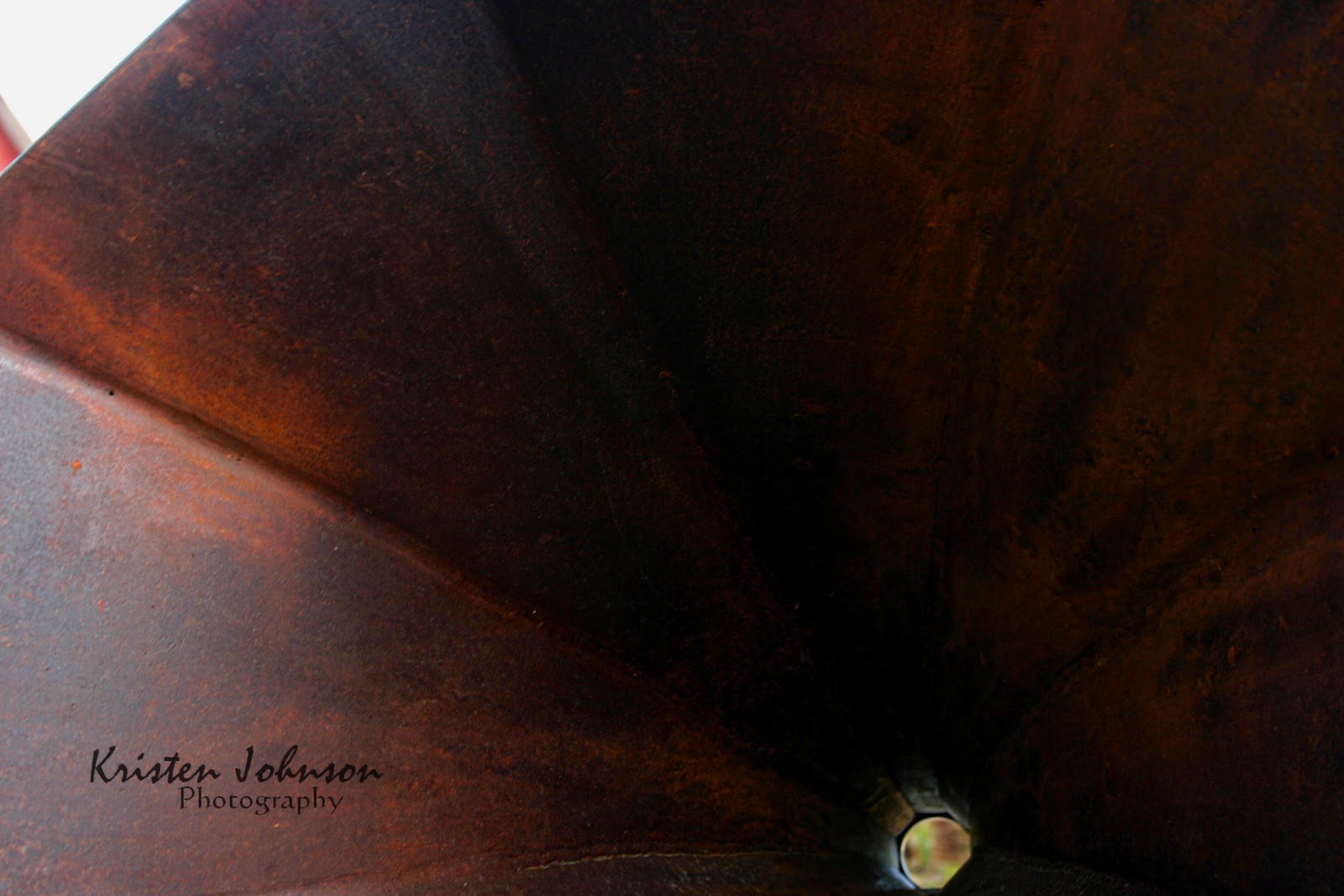 Kristen Johnson Photography Ornamental kristen-johnson-photography-ornamental