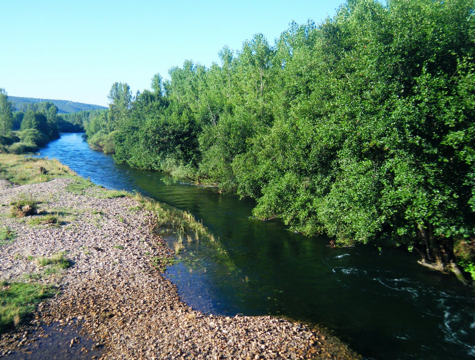 IMAGENES DE PESCA: RIO LUNA, TRAMO LIBRE