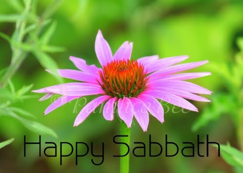 PamlicoBee... Photos, Greeting Cards & ACEOs: Happy Sabbath Cards NOW ...