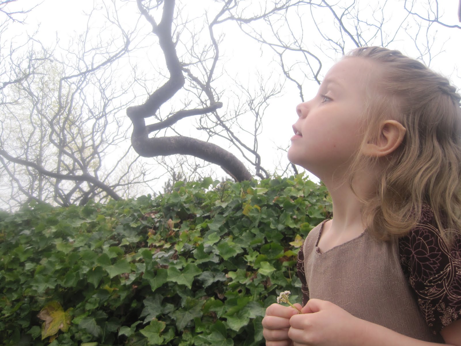 Devon's Makeup & Hair Blog: My Little Elven Child