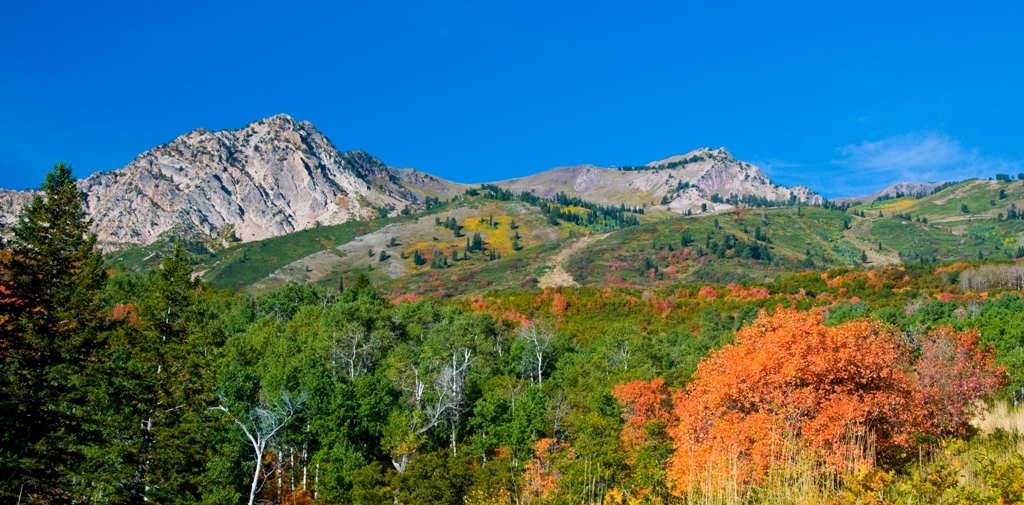 Utah Fall Color Watch: Ogden Fall Workshop Sept. 18th