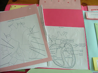 Have Fun - Live Life: Heart Lapbook