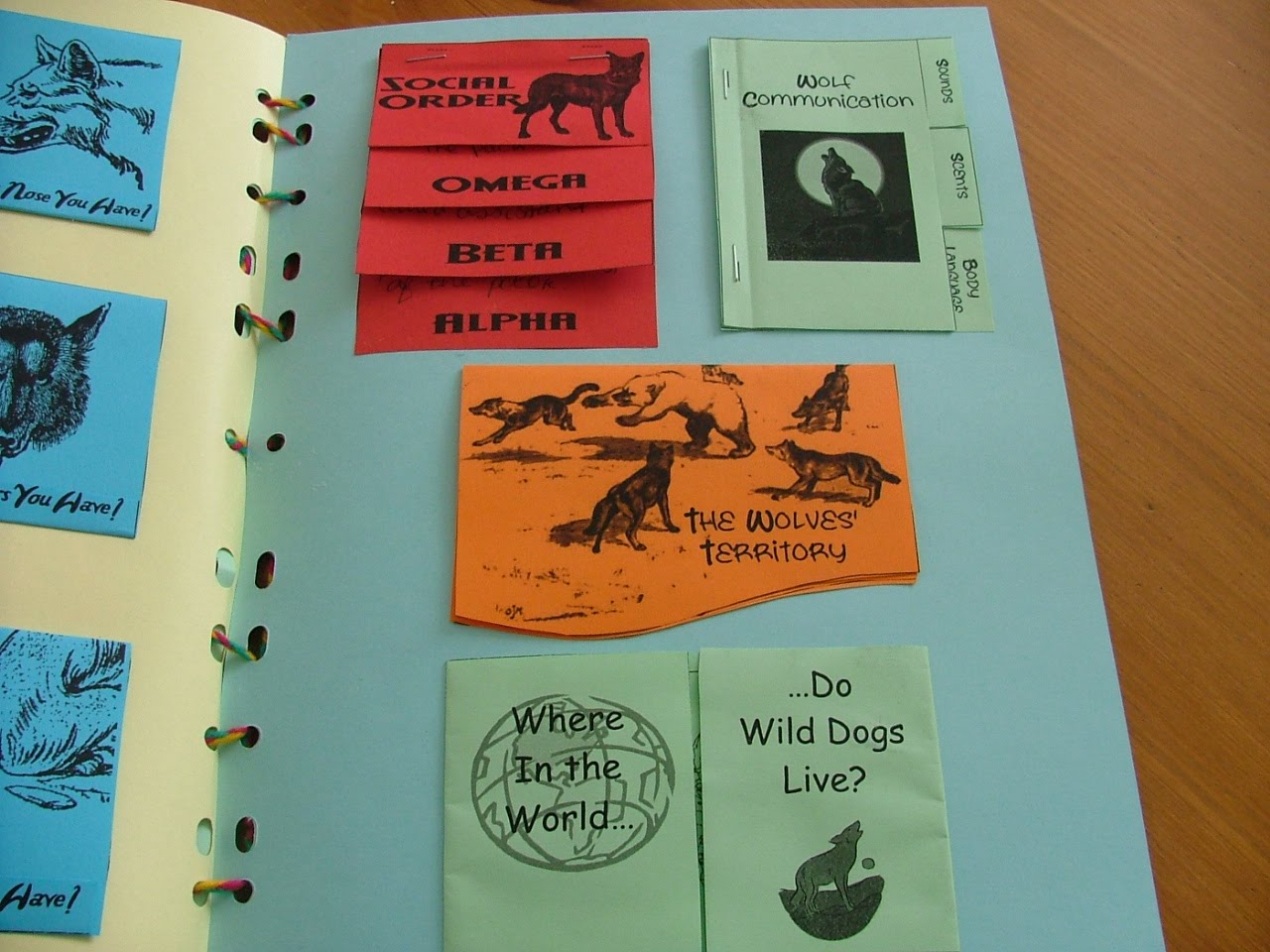 Have Fun - Live Life: Wild Dogs Lapbook/Notebook