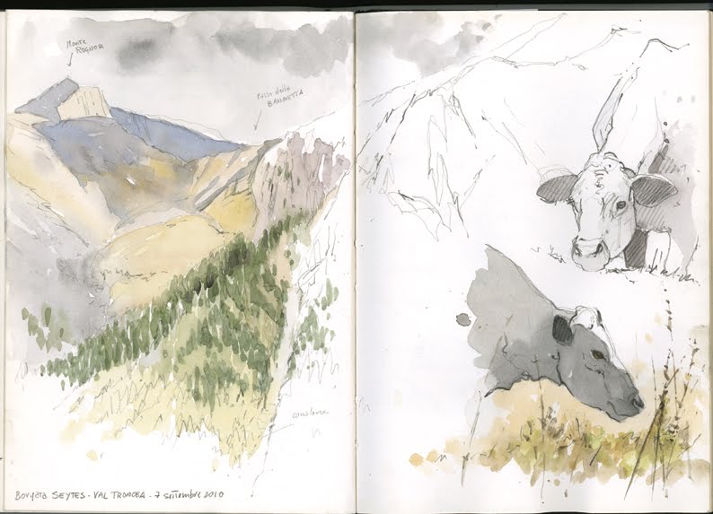 Federico Gemma - Wildlife Artist: Alpi Cozie