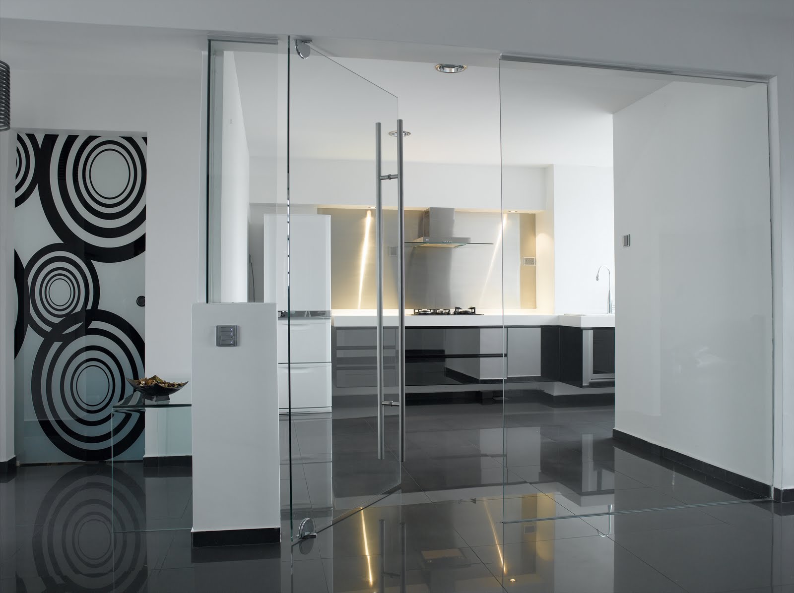Besglas: PIVOT DOOR