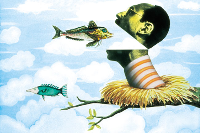 FREE Cartoon Graphics / Pics / Gifs / Photographs: Monty Python Terry ...