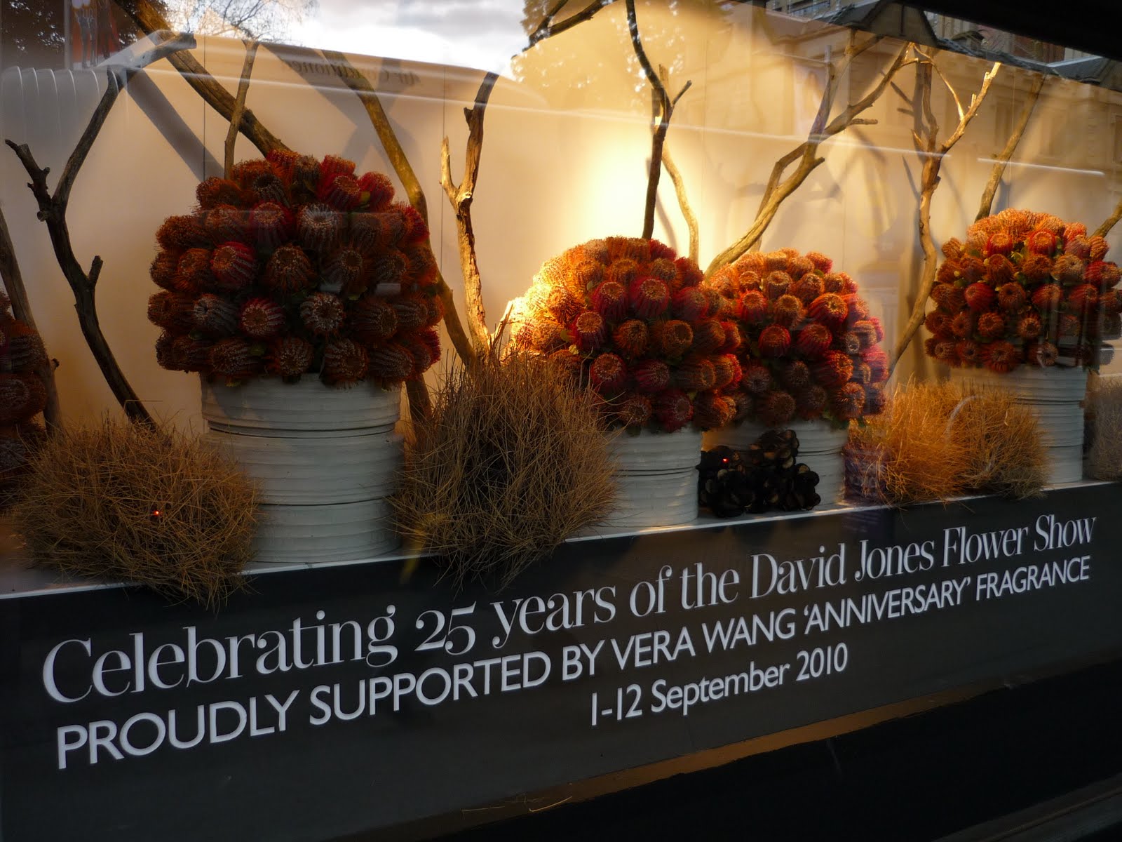 The David Jones Flower Show