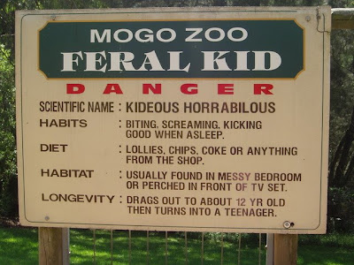 Revital Salomon: 8 Funny Zoo Signs