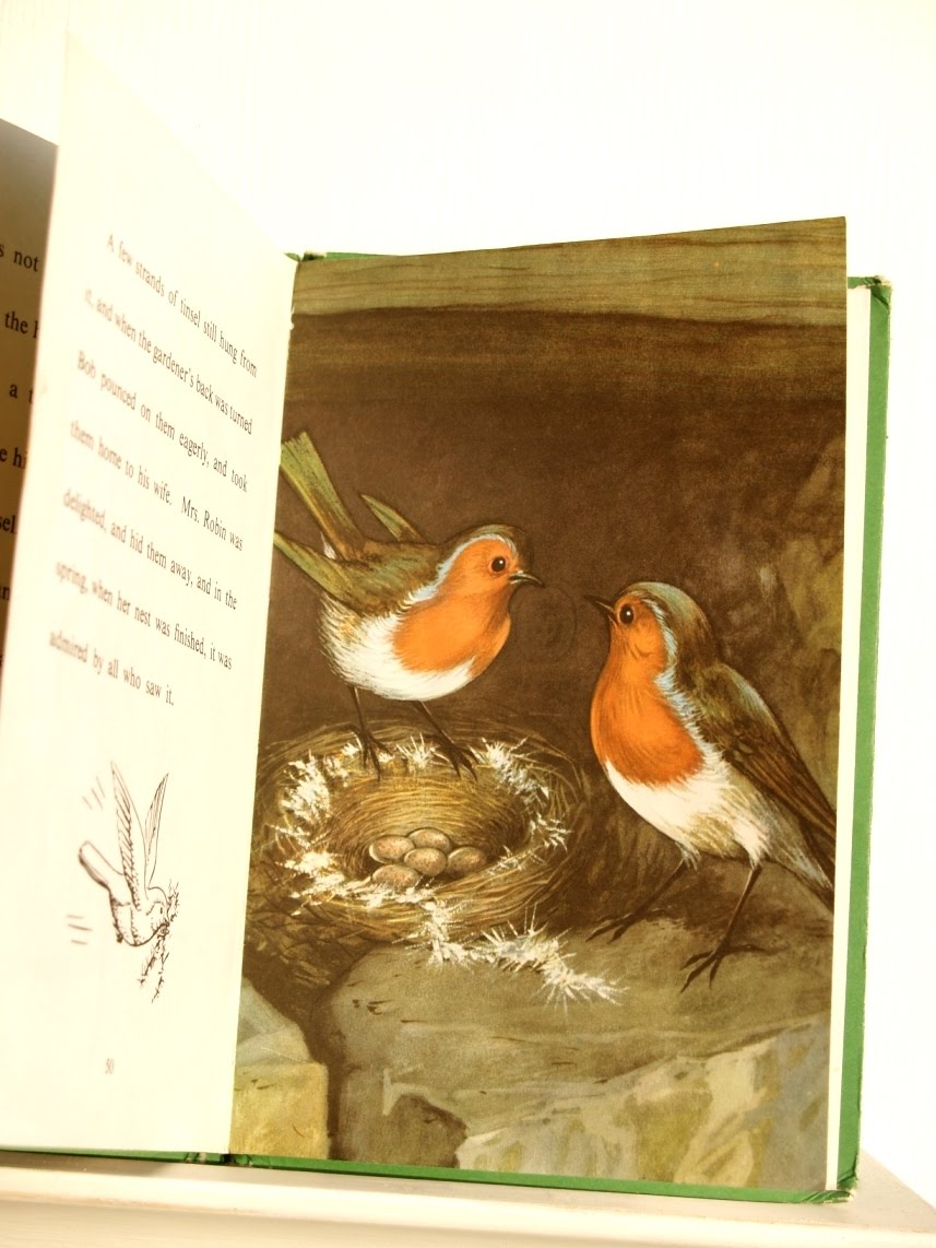 notes on paper: Vintage book: The Wise Robin
