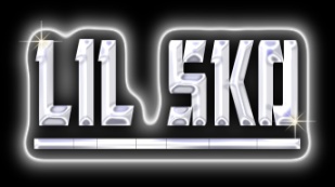 Lil Sko's Blog #2