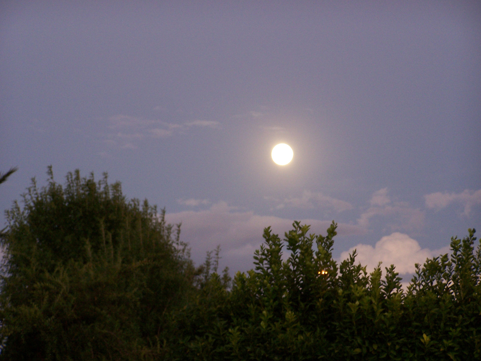 Treasures-n-Textures: Sunset - Moon Rising