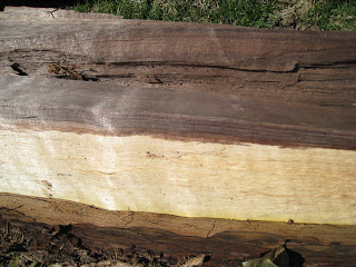 Firewood Information, Firewood Photos, Firewood Pictures: Black Walnut ...