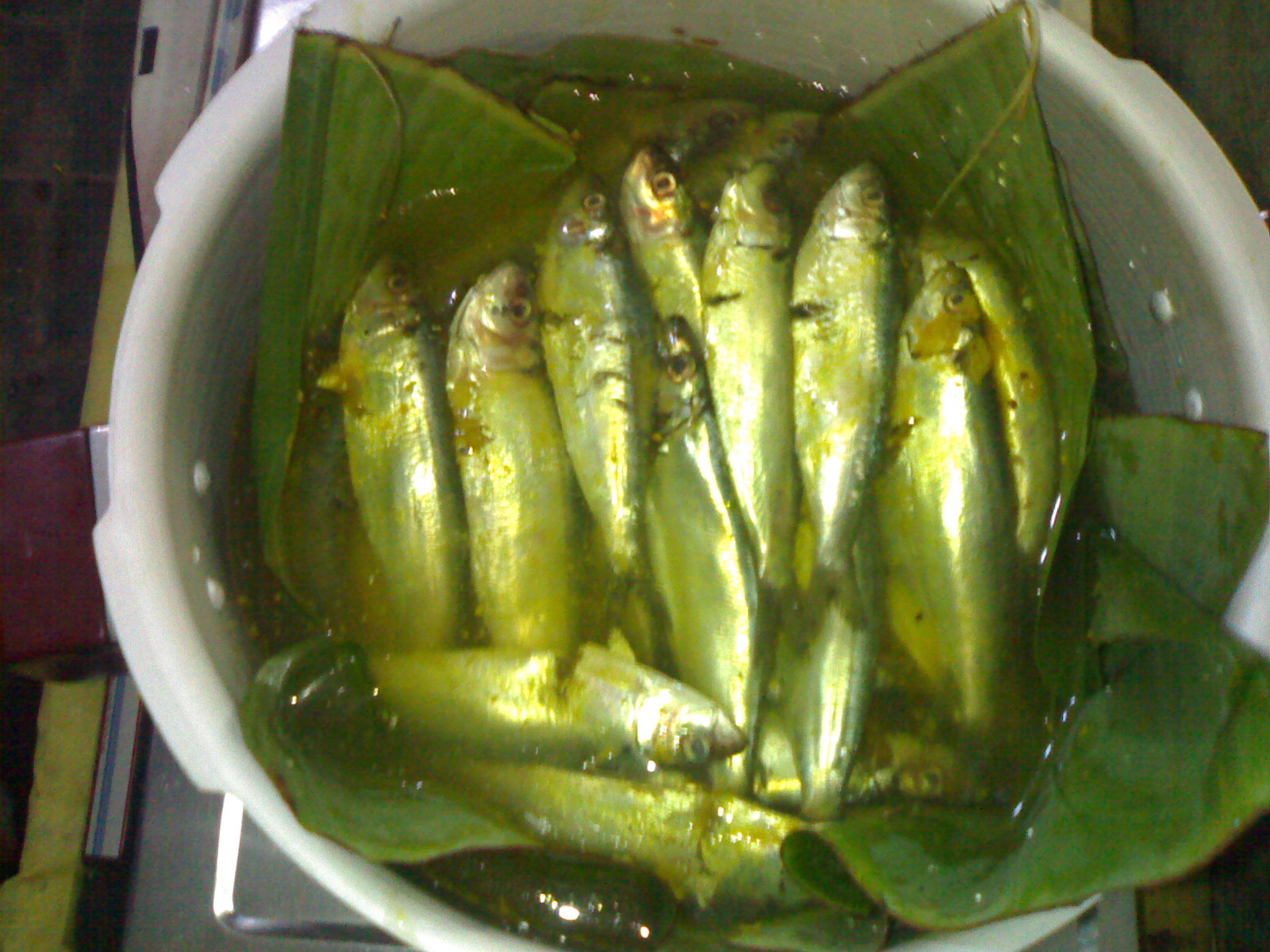 Juwi Presto Sebagai Usaha Potensial Baru di Perkotaan