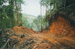 Habitat Destruction: Examples of Habitat Destruction