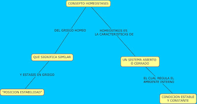 carlos ospina: MAPA CONCEPTUAL HOLISTICA