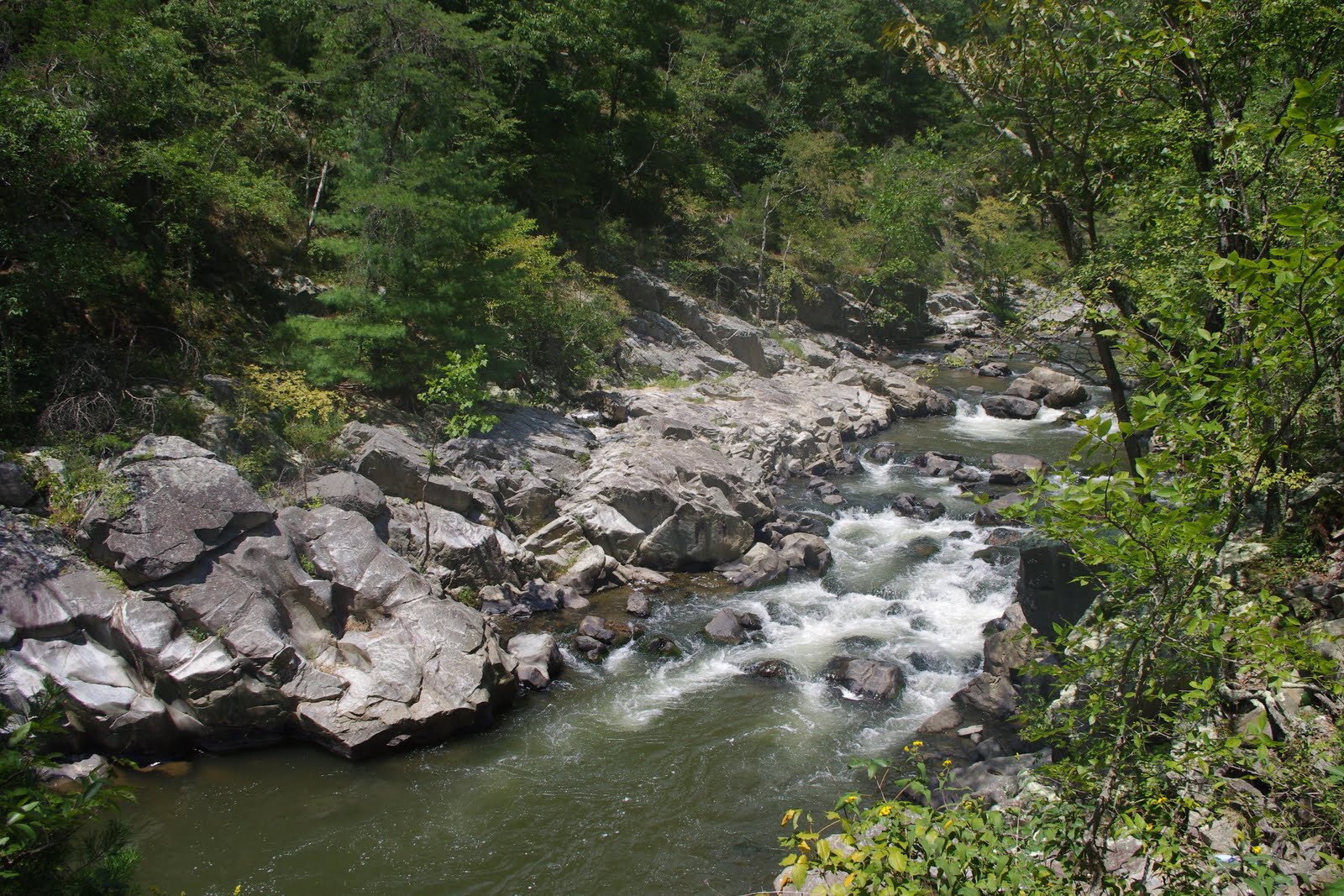 TNT in the Lone Star State: Laurel River Hike!