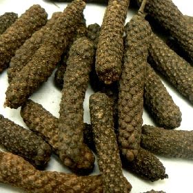 scienceworld 2: Medicinal Plant