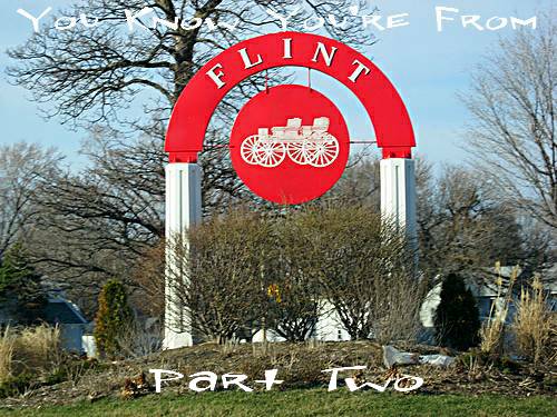 What The Hell......: You Know You're From Flint....Part Two