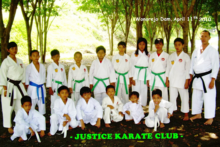JUSTICE KARATE CLUB BLOG