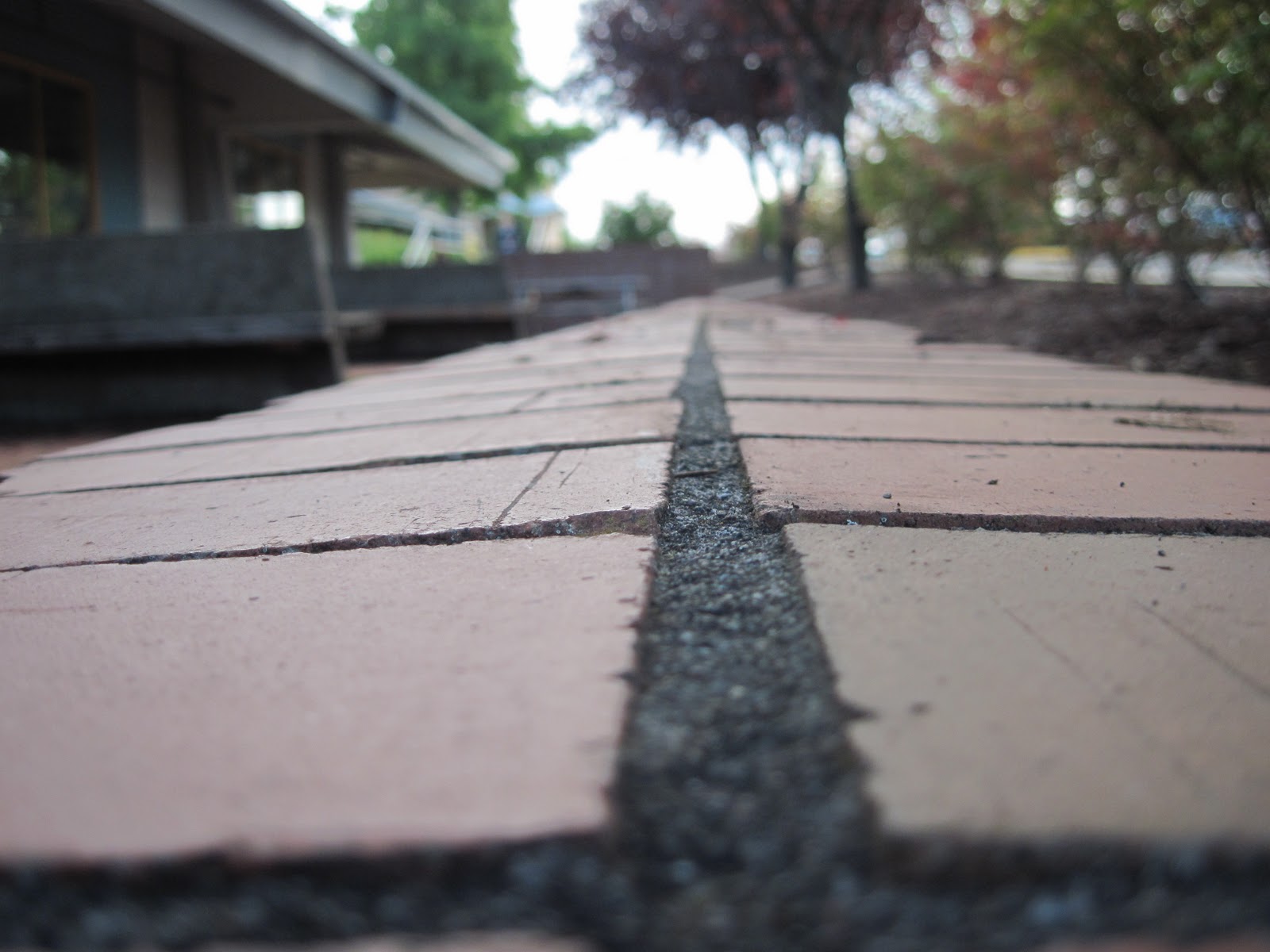 Maranda's Photography Gallery: Composition Photos