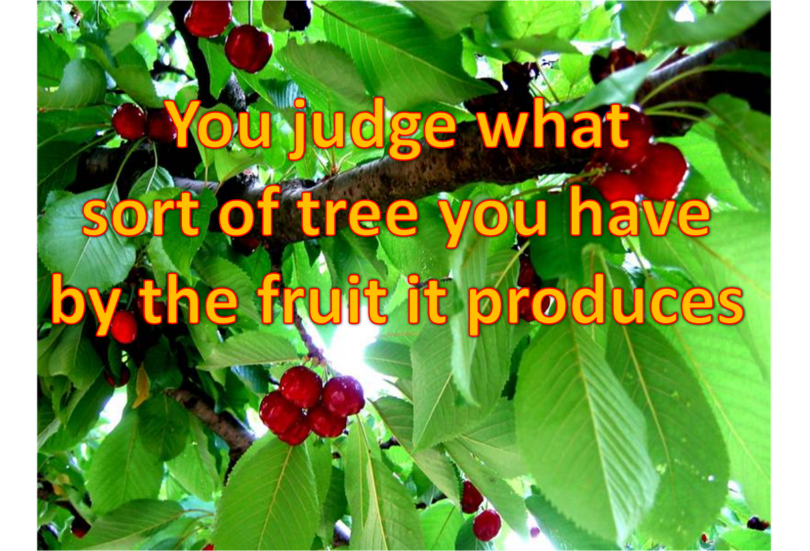 HOW IN THE WORLD!!: Fruit of The Holy Spirit ( a Series): introduction.