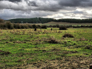 Navarra al natural: La Laguna de Loza y la poza de Iza.