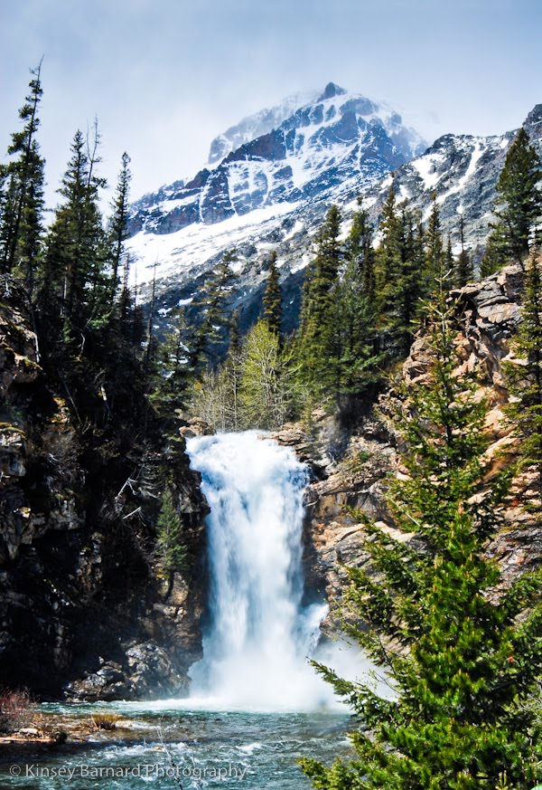 Molly Montana's Montana Moments: Running Eagle Falls-Glacier National Park