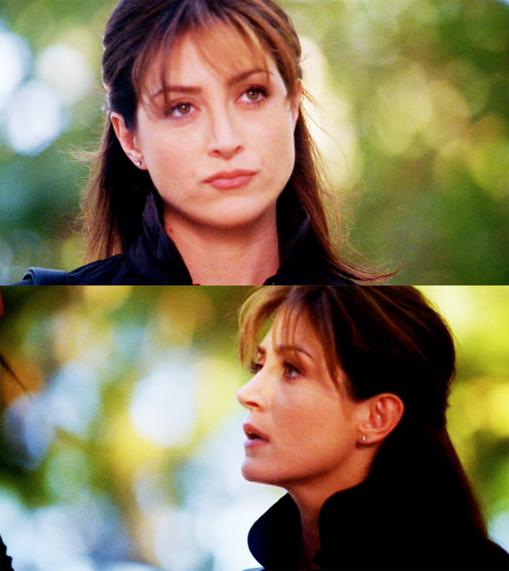 Kate Todd Ncis
