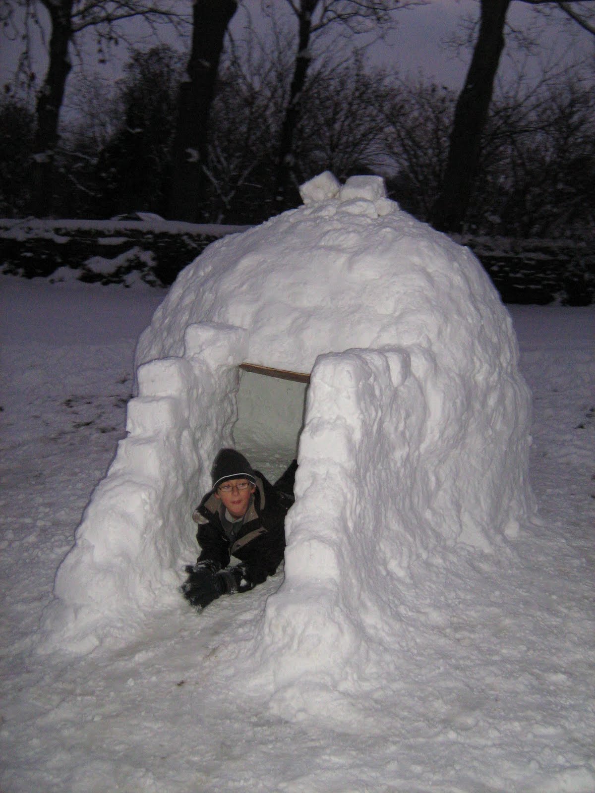 pheasants, frogs and banana bread: We made an igloo!!!!!