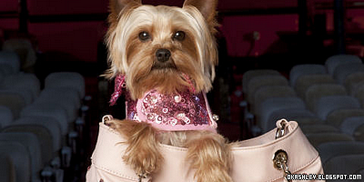 *OKASHLEY: Nuevo Promocional de Sharpay's Fabulous Adventure