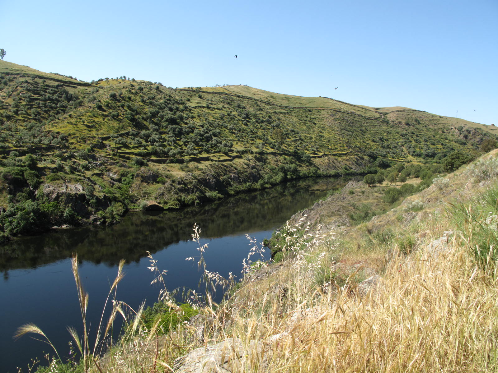 retalhos e detalhes: ...rio Tejo...