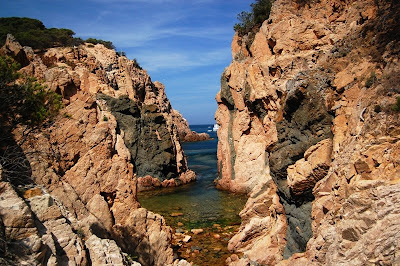 VERTILÍQUENS: Cavall Bernat - Llafranc