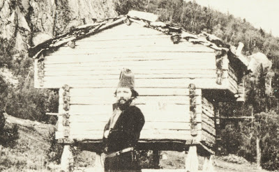 *The Saami - Samisk - Sámi*: 2008