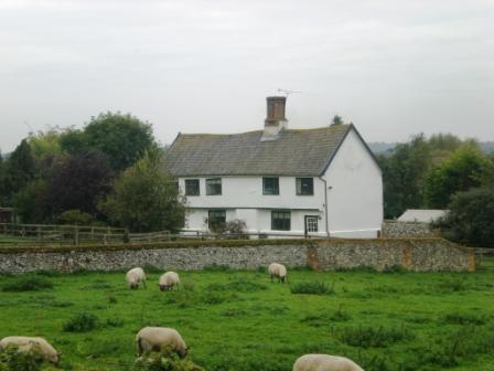 Running in Suffolk: My long run at Barnham Suffolk