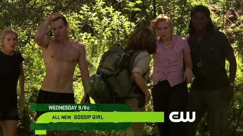 STARLIGHT STARBRIGHT: LIFE IS WILD