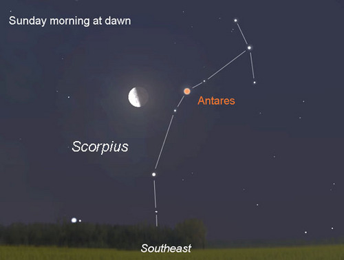 PERCIK ::: DAKWAT :::: zodiac ii.iii : sedikit mengenai bintang Antares