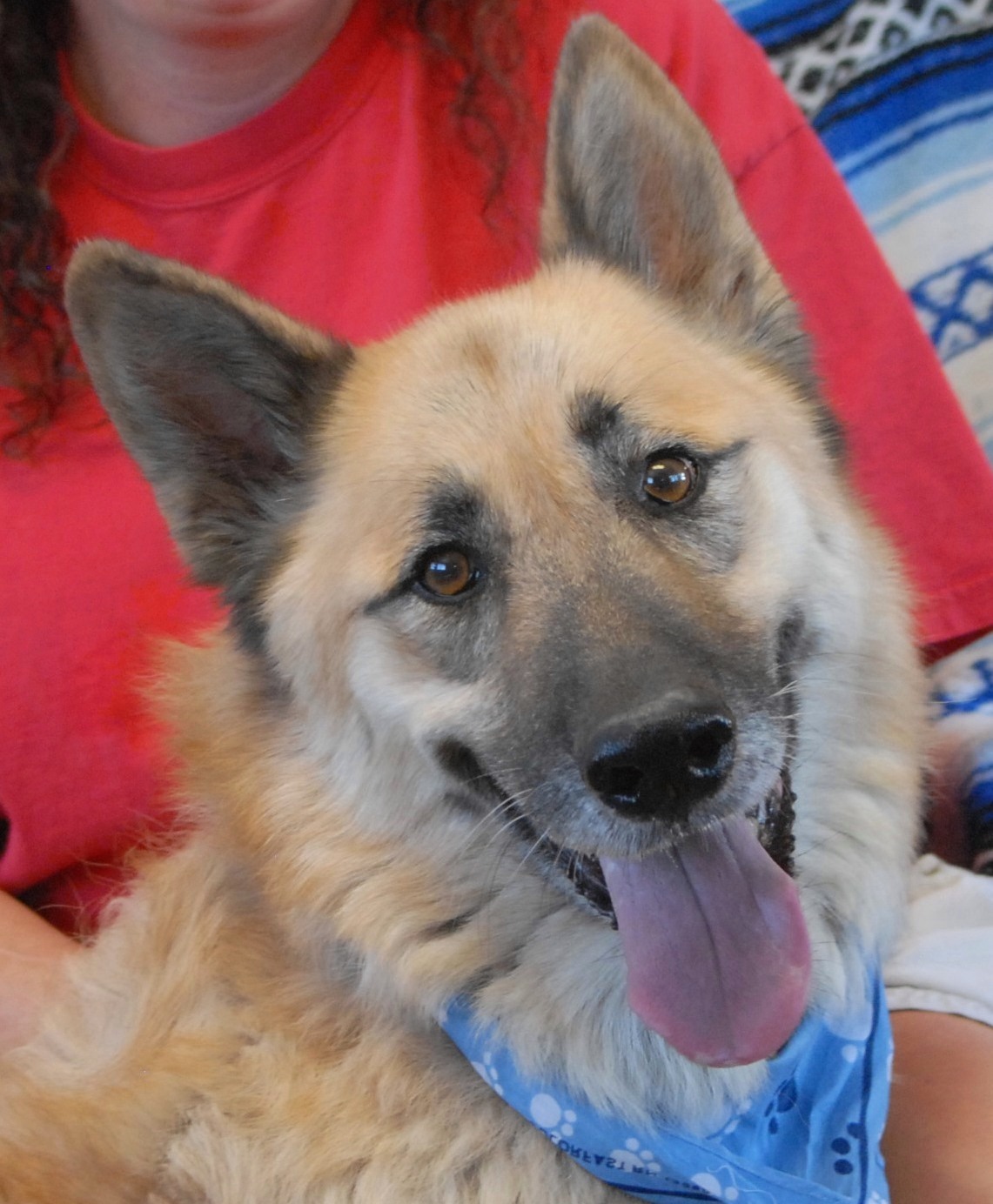 Does a million dollar personality interest you at all?