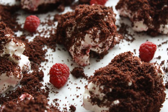 Dollop of Cream: chocolate raspberry horse turds